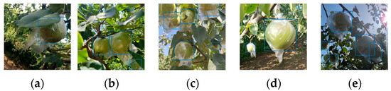 Intelligent Detection of Lightweight “Yuluxiang” Pear in Non-Structural Environment Based on ...