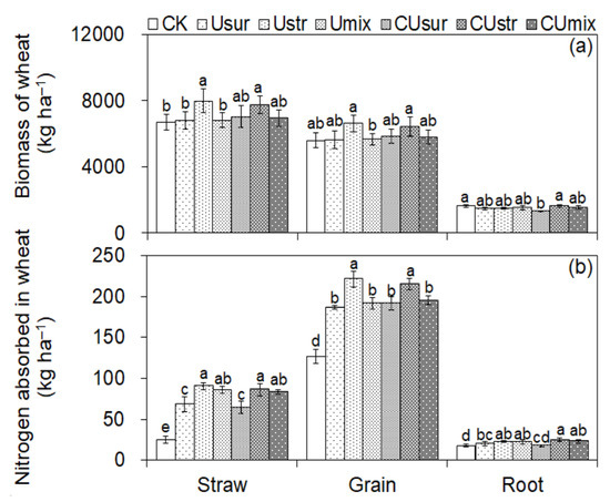 Layered-Strip Fertilization Improves Nitrogen Use Efficiency by ...