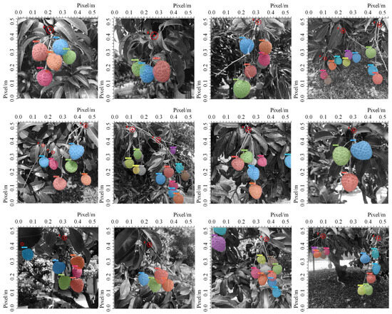 Prototype Network for Predicting Occluded Picking Position Based on ...