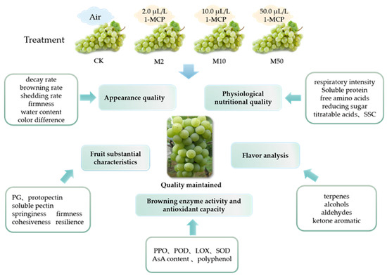 Postharvest Quality Exploration of “Crystal” Grapes in Karst ...
