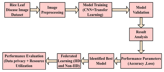 Federated Transfer Learning for Rice-Leaf Disease Classification across ...