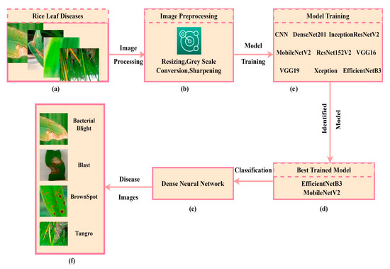 Federated Transfer Learning for Rice-Leaf Disease Classification across Multiclient Cross-Silo ...