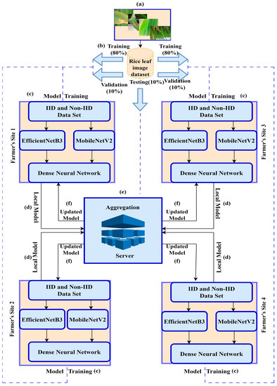 Federated Transfer Learning for Rice-Leaf Disease Classification across Multiclient Cross-Silo ...
