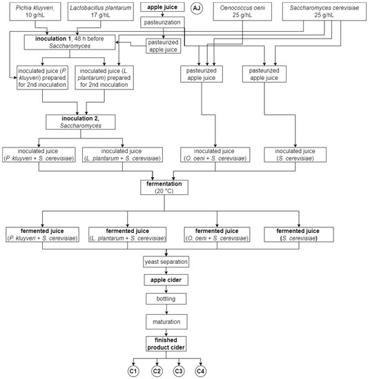 Mixed Fermentations of Yeasts and Lactic Acid Bacteria as Sustainable ...