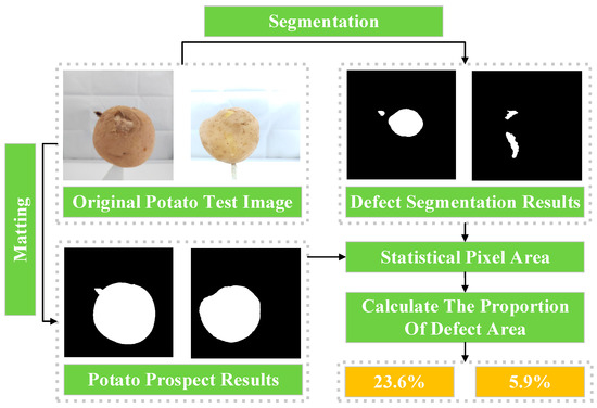 Evaluation Method of Potato Storage External Defects Based on Improved ...