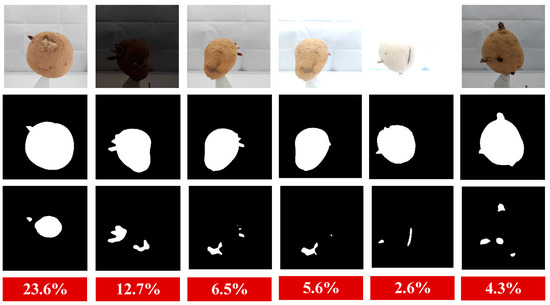 Evaluation Method of Potato Storage External Defects Based on Improved ...