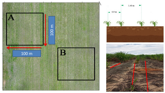Sugarcane Row Gaps Assessment over Successive Burned and Unburned Annual Harvests