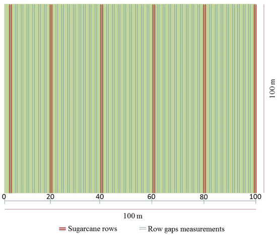 Sugarcane Row Gaps Assessment over Successive Burned and Unburned Annual Harvests