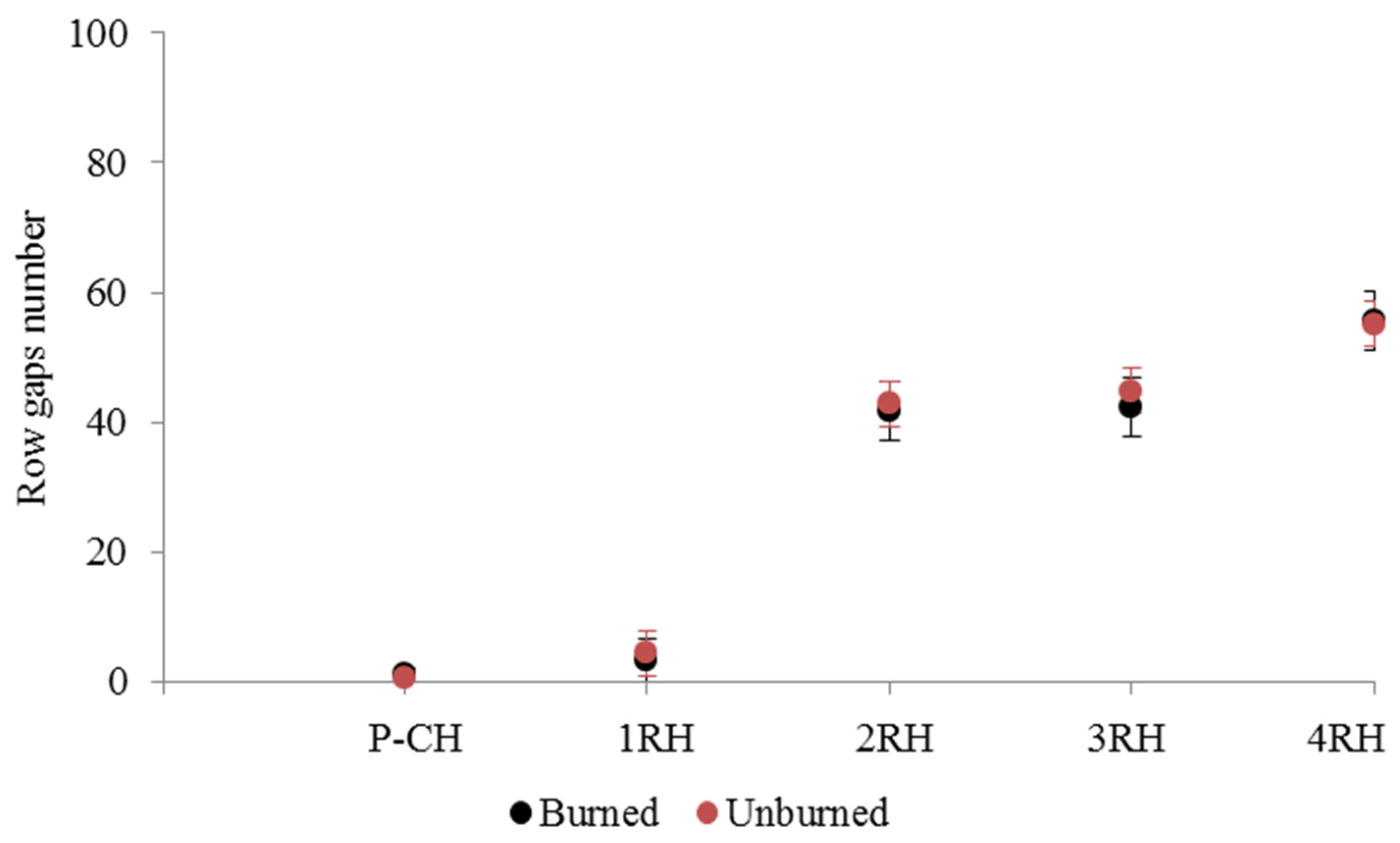 Sugarcane Row Gaps Assessment over Successive Burned and Unburned Annual Harvests