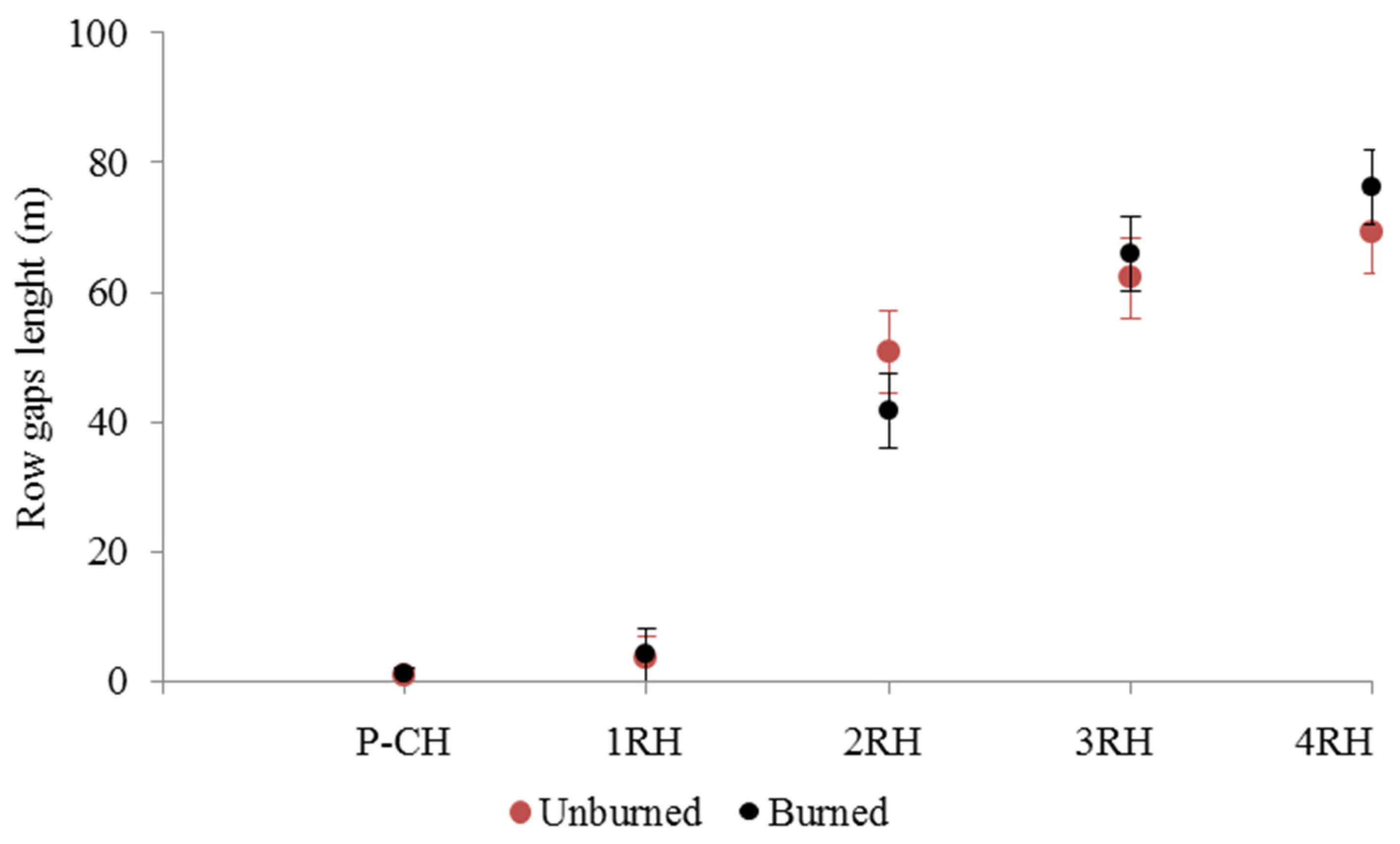 Sugarcane Row Gaps Assessment over Successive Burned and Unburned Annual Harvests