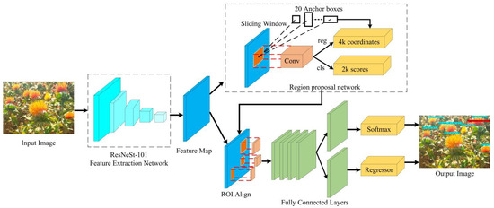 Improved Faster Region-Based Convolutional Neural Networks (R-CNN) Model Based on Split ...