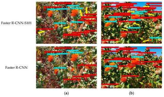 Agronomy | Free Full-Text | Improved Faster Region-Based Convolutional Neural Networks (R-CNN ...