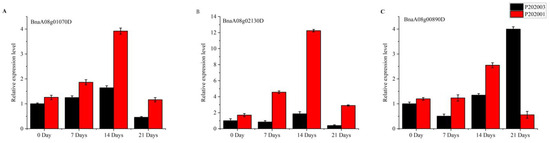 Mapping of the Waxy Gene in Brassica napus L. via Bulked Segregant ...