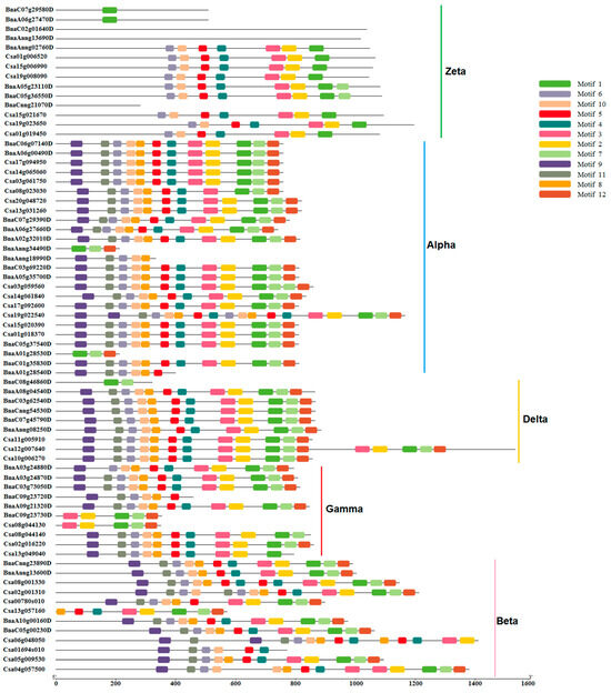 Comparative Analysis of Phospholipase D (PLD) Gene Family in Camelina ...
