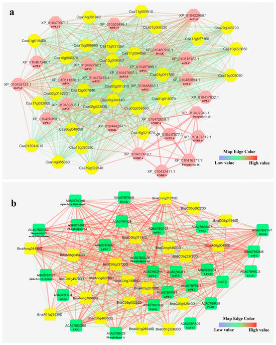 Comparative Analysis of Phospholipase D (PLD) Gene Family in Camelina ...