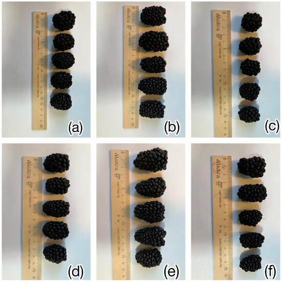 Comparison of Fruit Parameters and Elemental Composition of Commercial ...
