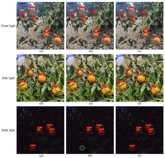 Improved YOLOv7-Tiny Complex Environment Citrus Detection Based on Lightweighting