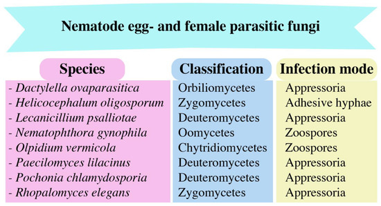 Predacious Strategies of Nematophagous Fungi as Bio-Control Agents