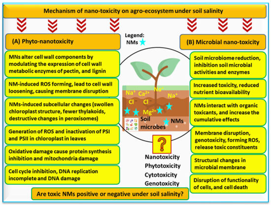 Agronomy | Free Full-Text | Nano-Management Approaches for Salt ...