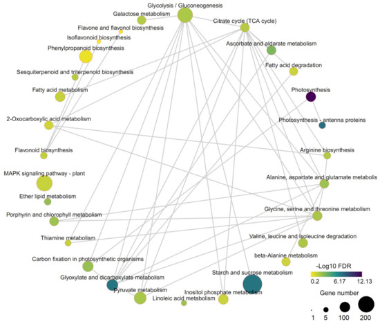 Pre-Harvest Application of Strigolactone (GR24) Accelerates Strawberry ...