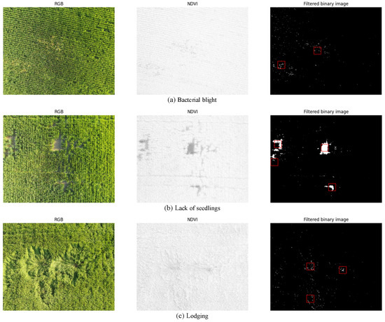 Agronomy | Free Full-Text | Method and Experiments for Acquiring High ...