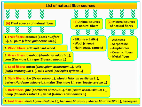 Biotechnology of Nanofiber in Water, Energy, and Food Sectors