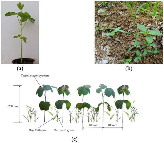 Research and Experiment on Soybean Plant Identification Based on Laser ...
