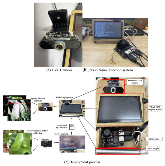 Real-Time Lightweight Detection of Lychee Diseases with Enhanced YOLOv7 and Edge Computing