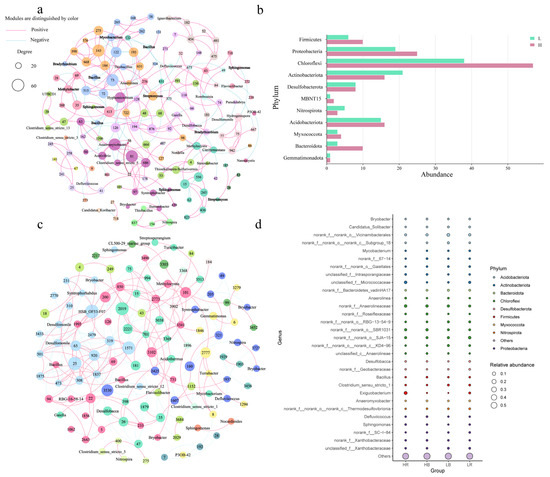 Culturomics and Amplicon-Based Metagenomic Insights into the Bacteria ...
