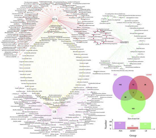Culturomics and Amplicon-Based Metagenomic Insights into the Bacteria ...