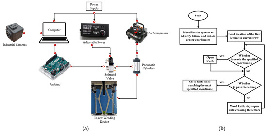 A SPH-YOLOv5x-Based Automatic System for Intra-Row Weed Control in Lettuce