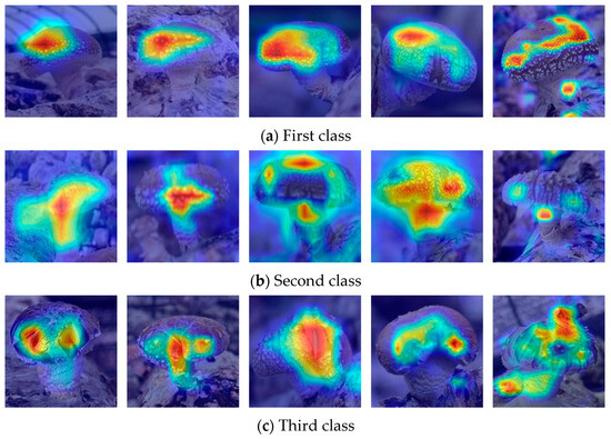 An Improved MobileNetV3 Mushroom Quality Classification Model Using ...
