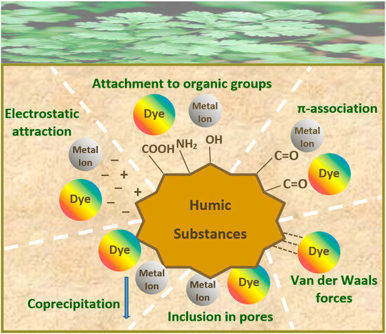 Macromolecular Size and Architecture of Humic Substances Used in the ...