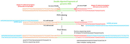 Agronomy | Free Full-Text | Optimized In Vitro Restriction Digestion ...