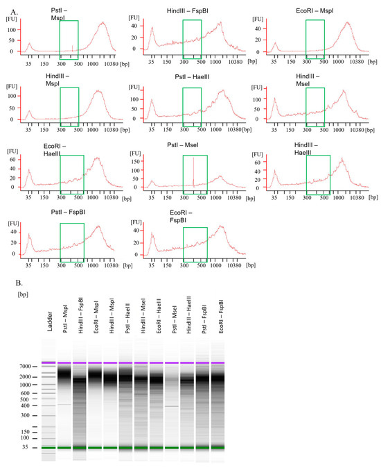 Optimized In Vitro Restriction Digestion Protocol for Preparing Maize ...