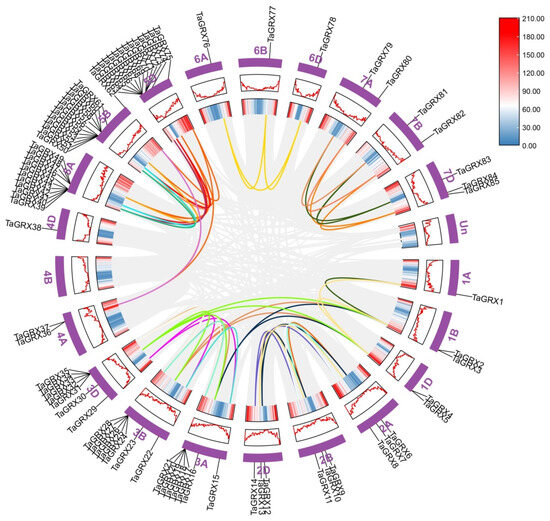 Genome-Wide Identification and Characterization of Glutaredoxin Family ...