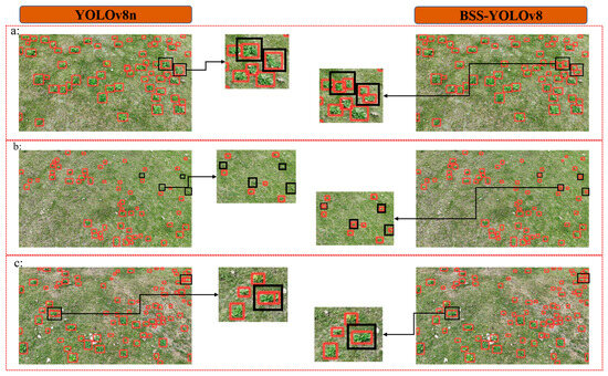 Agronomy | Free Full-Text | Detection of the Grassland Weed Phlomoides umbrosa Using Multi ...
