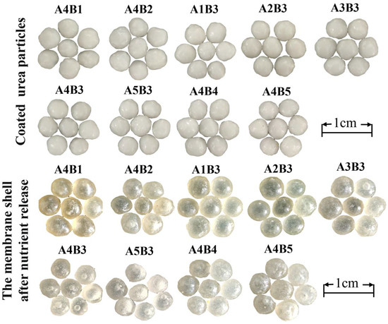 Soybean-Oil-Modified Petrochemical-Source Polyester Polyurethane ...