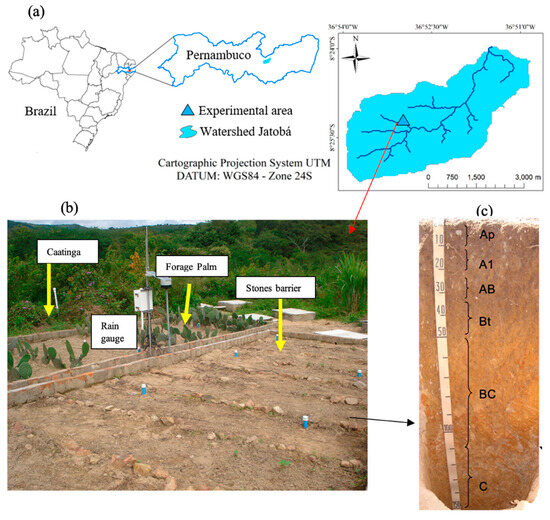 Could Forage Palm and Stone Barrier Be as Effective as Native ...