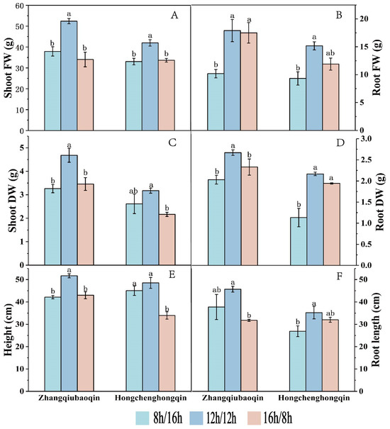 Effects of Different Photoperiods on the Growth and Nutritional ...