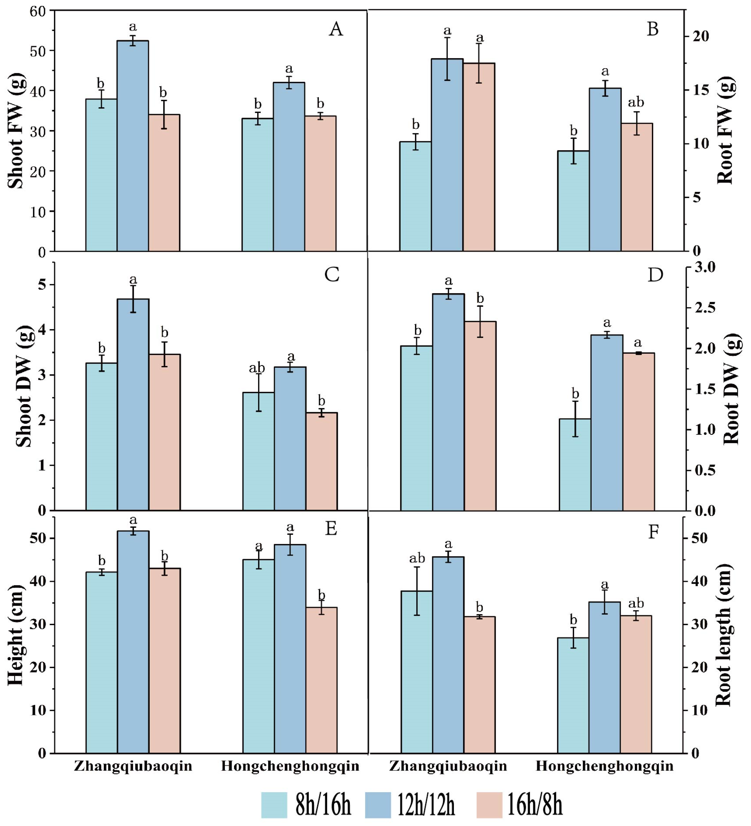Effects of Different Photoperiods on the Growth and Nutritional ...