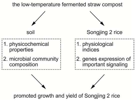 Low-Temperature Fermented Straw Compost Regulates Rice Growth and Yield ...
