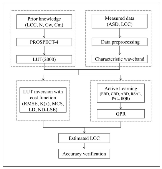 Agronomy | Free Full-Text | Potato Leaf Chlorophyll Content Estimation ...