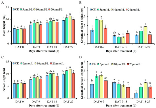 Agronomy | Free Full-Text | Exogenous GR24 Inhibits Strawberry ...