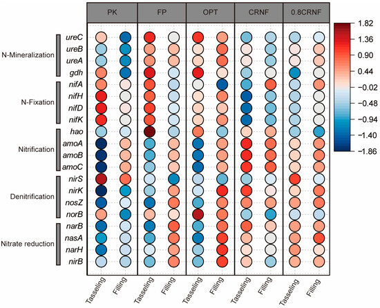 The Long-Term Application of Controlled-Release Nitrogen Fertilizer ...