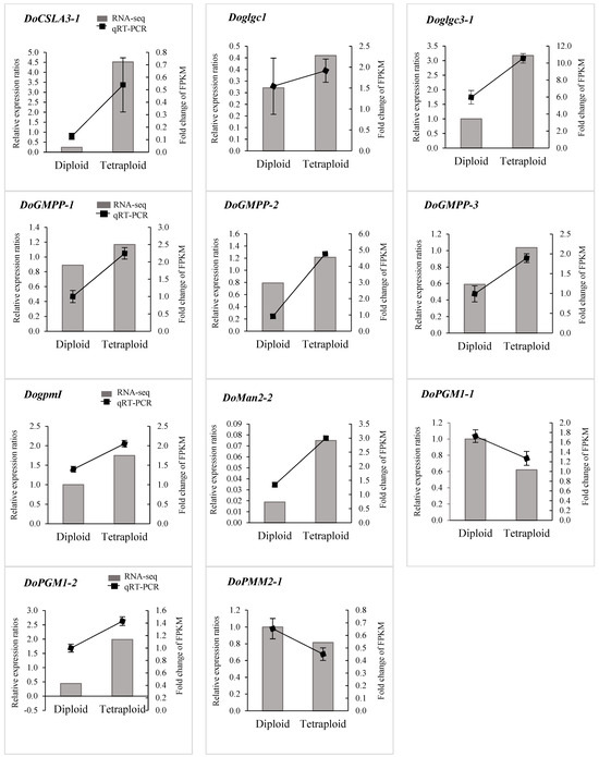 Comparative Transcriptome Analysis and Expression of Genes Associated with Polysaccharide ...