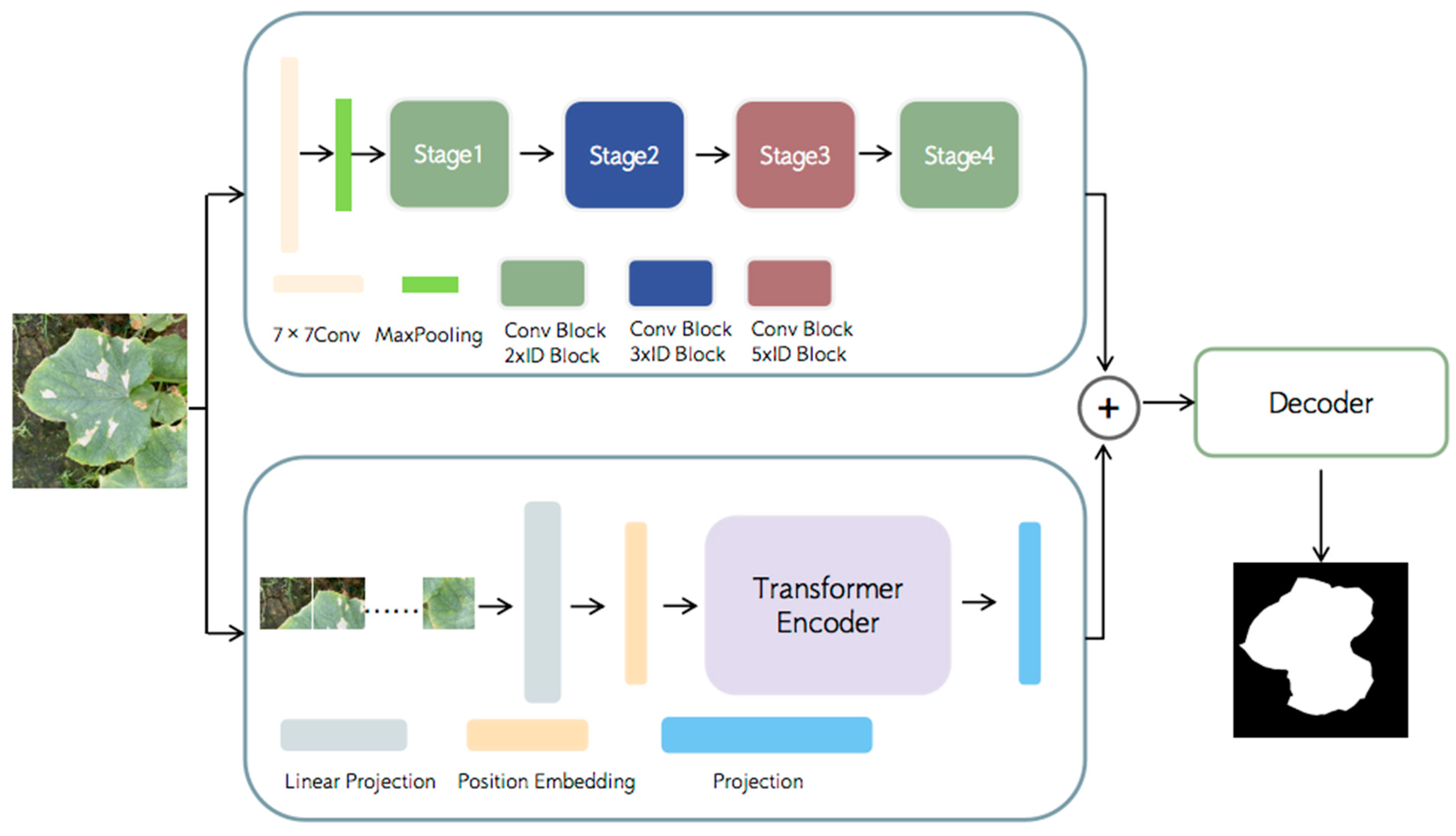 A Cucumber Leaf Disease Severity Grading Method in Natural Environment ...