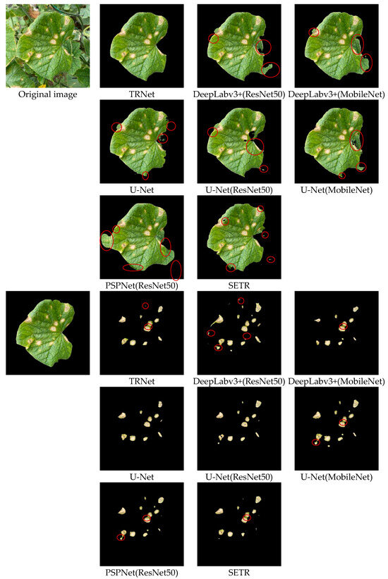 Agronomy | Free Full-Text | A Cucumber Leaf Disease Severity Grading Method in Natural ...