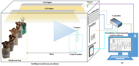 AC R-CNN: Pixelwise Instance Segmentation Model for Agrocybe cylindracea Cap