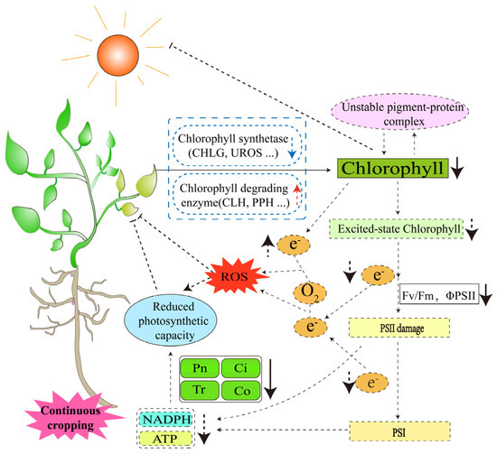 Mechanisms and Mitigation Strategies for the Occurrence of Continuous ...